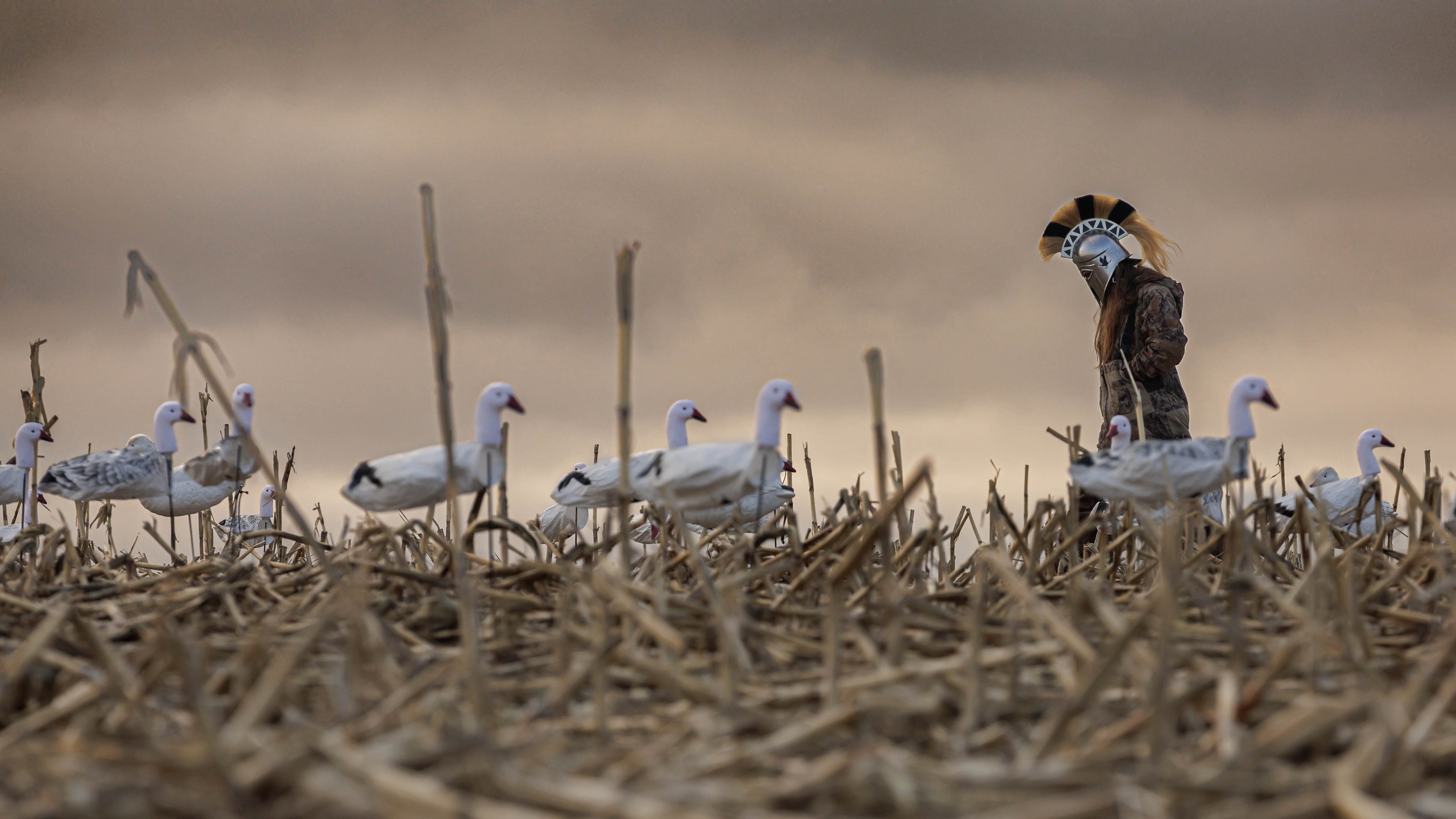 Banded Coots Clothing – Banded_Coots_Clothing